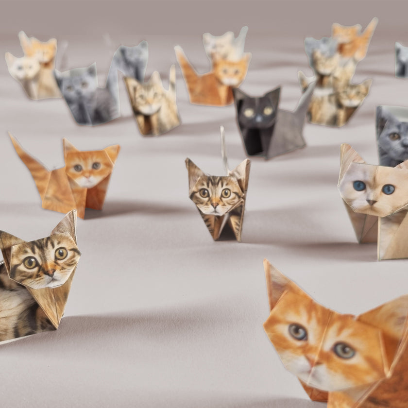 Paper Cats | Origami Cat Craft Kit | Fun Gift for Cat Lovers by Pikkii