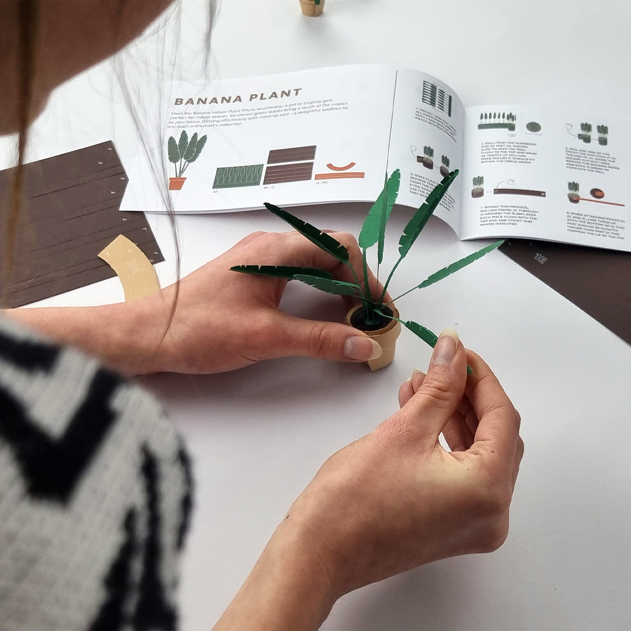 Paper Plants Craft Kit | Gift For Plant Lovers by Pikkii