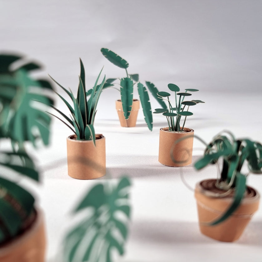 Paper Plants Craft Kit | Gift For Plant Lovers by Pikkii