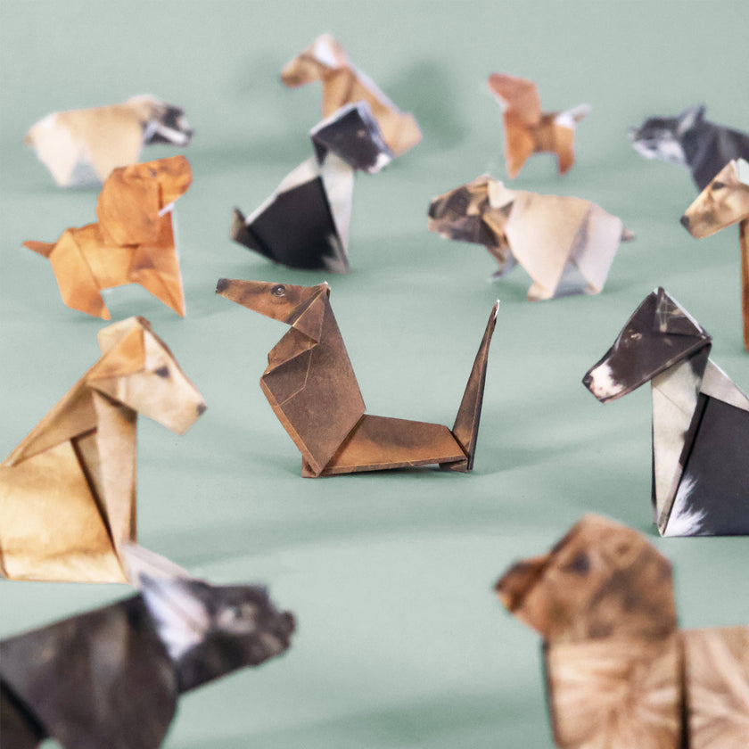 Paper Pups | Origami Dogs Craft Kit | Fun Gift for Dog Lovers – Pikkii