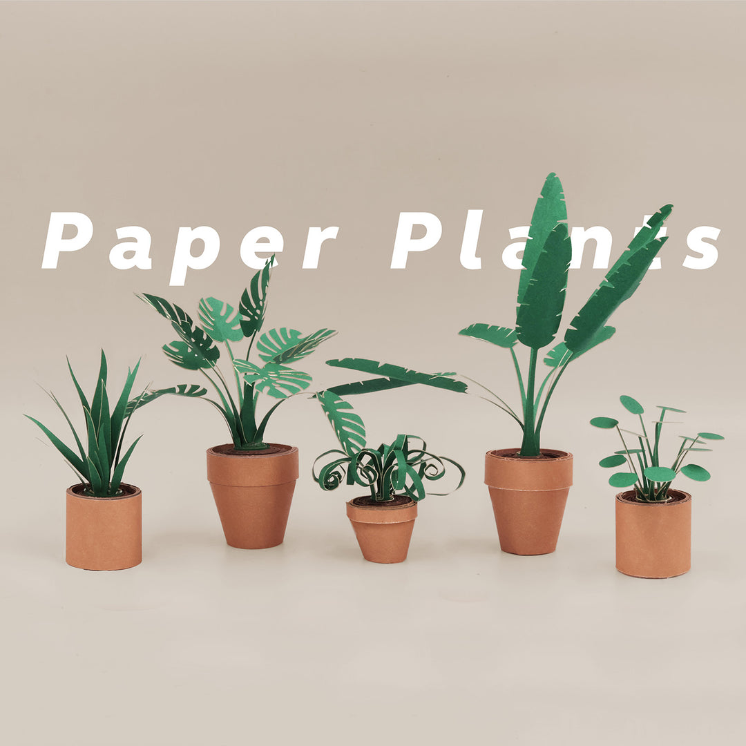 Paper Plants Craft Kit | Gift For Plant Lovers by Pikkii